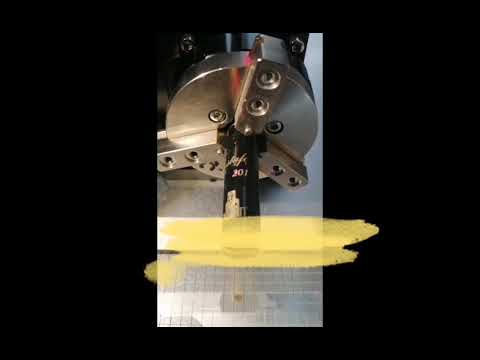 Antalya şehir silüet li Kalem kişiye özel