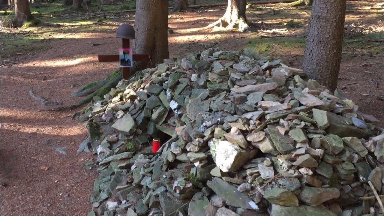 World War 2 Battlefield Huertgen Forest/research battle of the huertgen ...