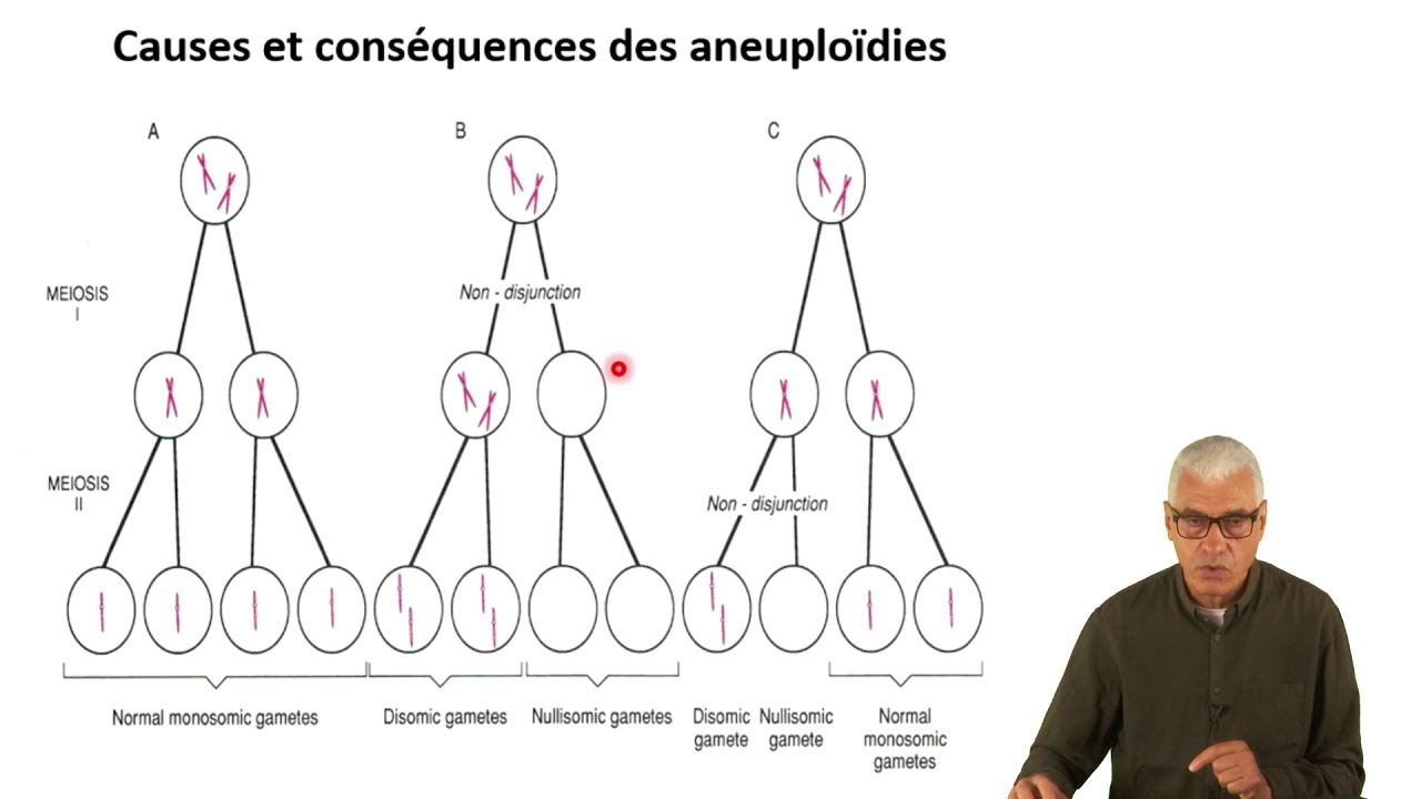 Cours N° 10: Aberrations chromosomiques: - Anomalies de nombre - YouTube