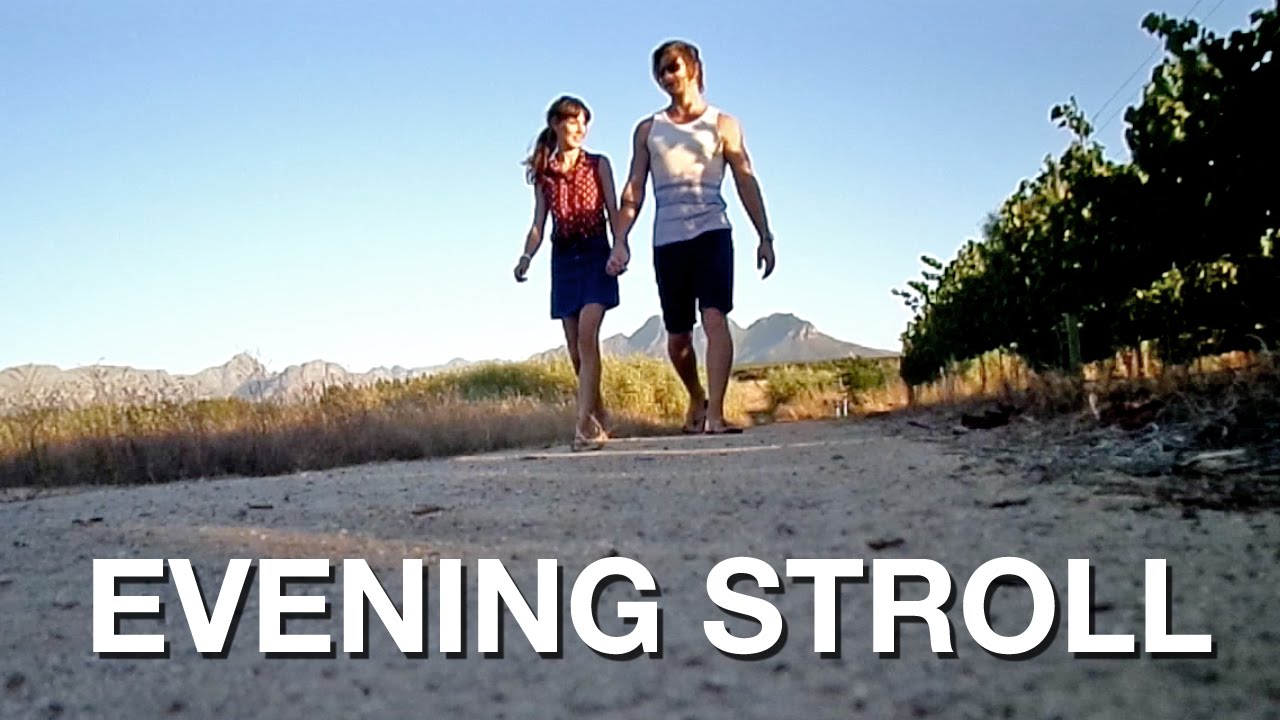 pigs lyrics EVENING STROLL - animal print backgrounds