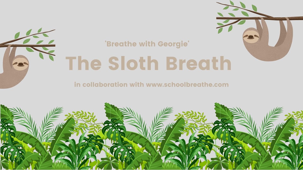 Move & Breathe: The Sloth Breath with Georgie - YouTube