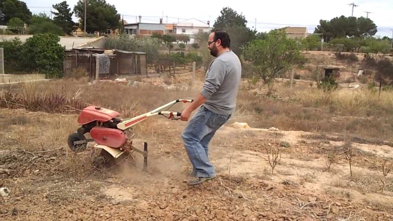Mi nueva profesión, Labrador - YouTube