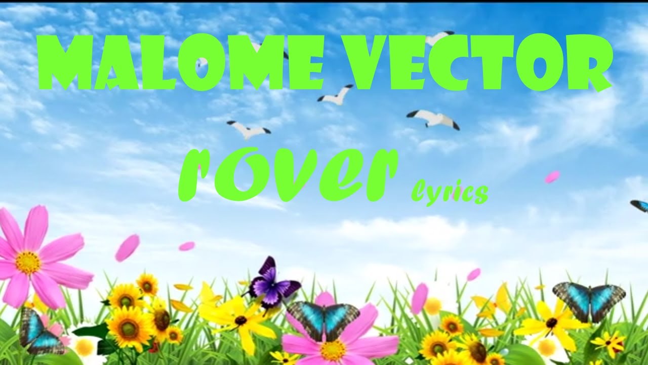 MALOME VECTOR - ROVER lyrics - YouTube Music