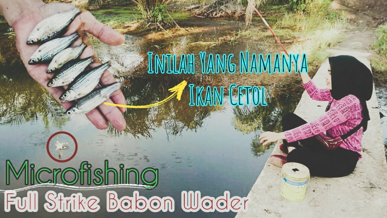 Mancing Di Air Keruh !! Full Strike Wader Babon - YouTube