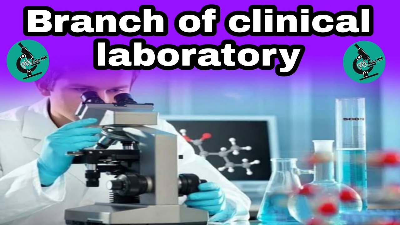 branch of clinical Pathology Laboratory functional components of ...