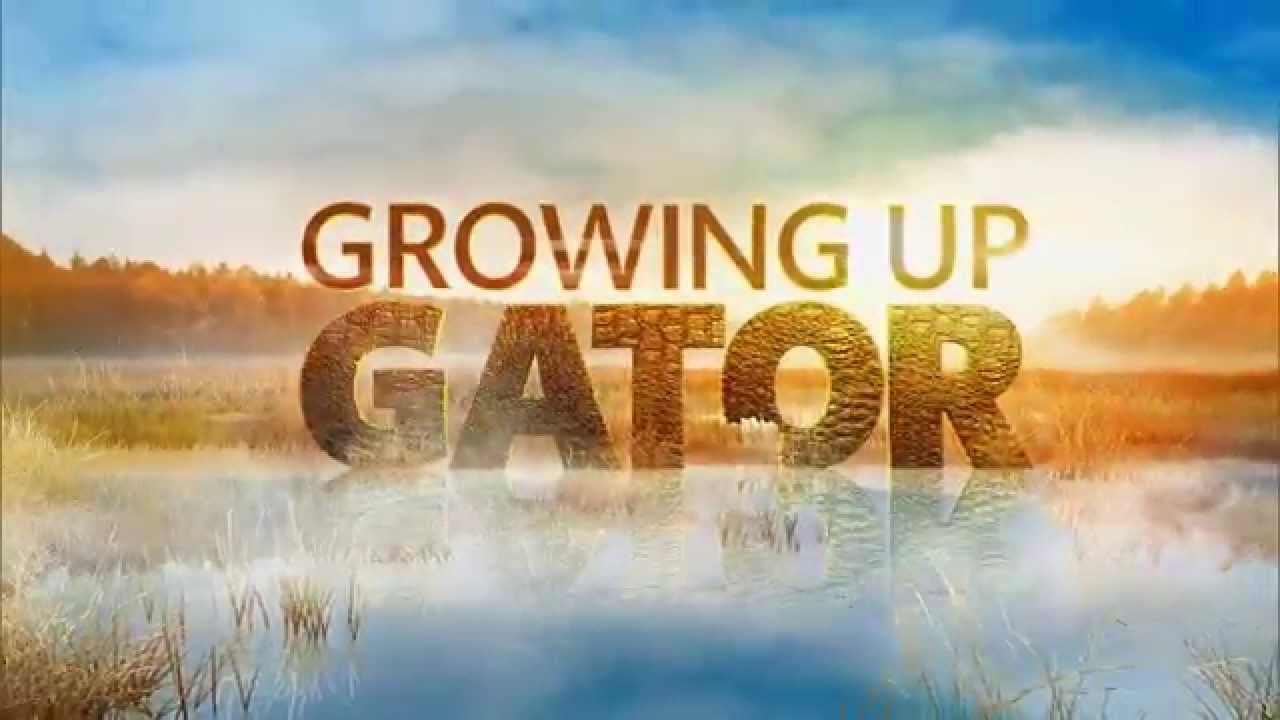 Growing Up Gator - YouTube