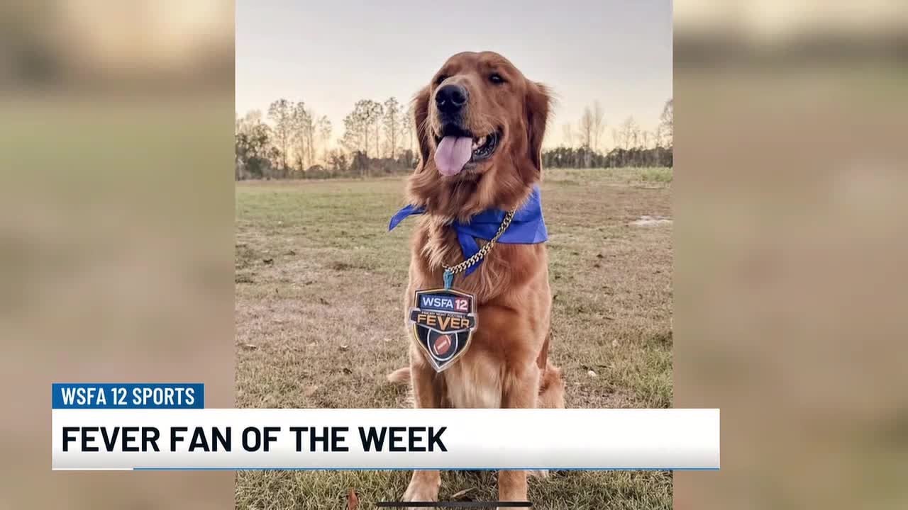 Meet the Fever Fan of the Week - YouTube
