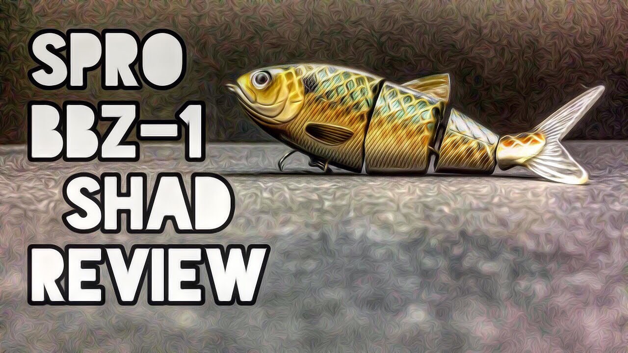 Spro BBZ-1 Shad Review - YouTube