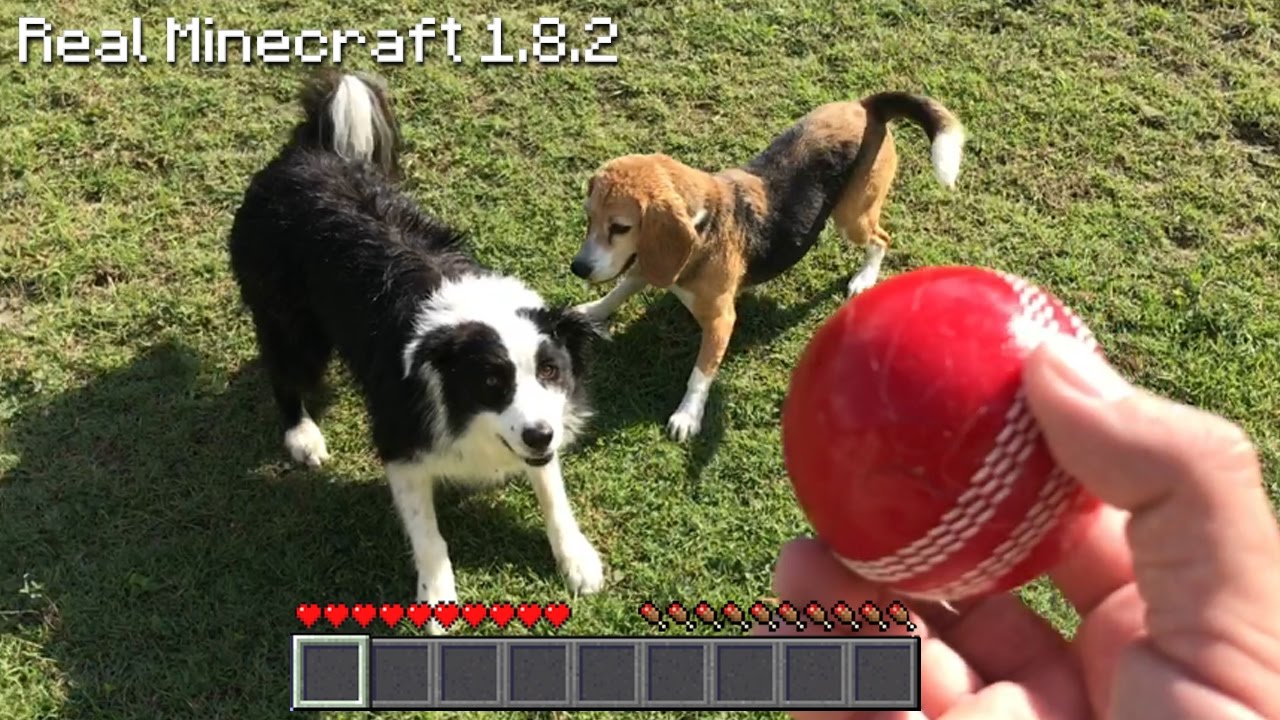 Real Life Minecraft - PUPPY WASHING!! - YouTube