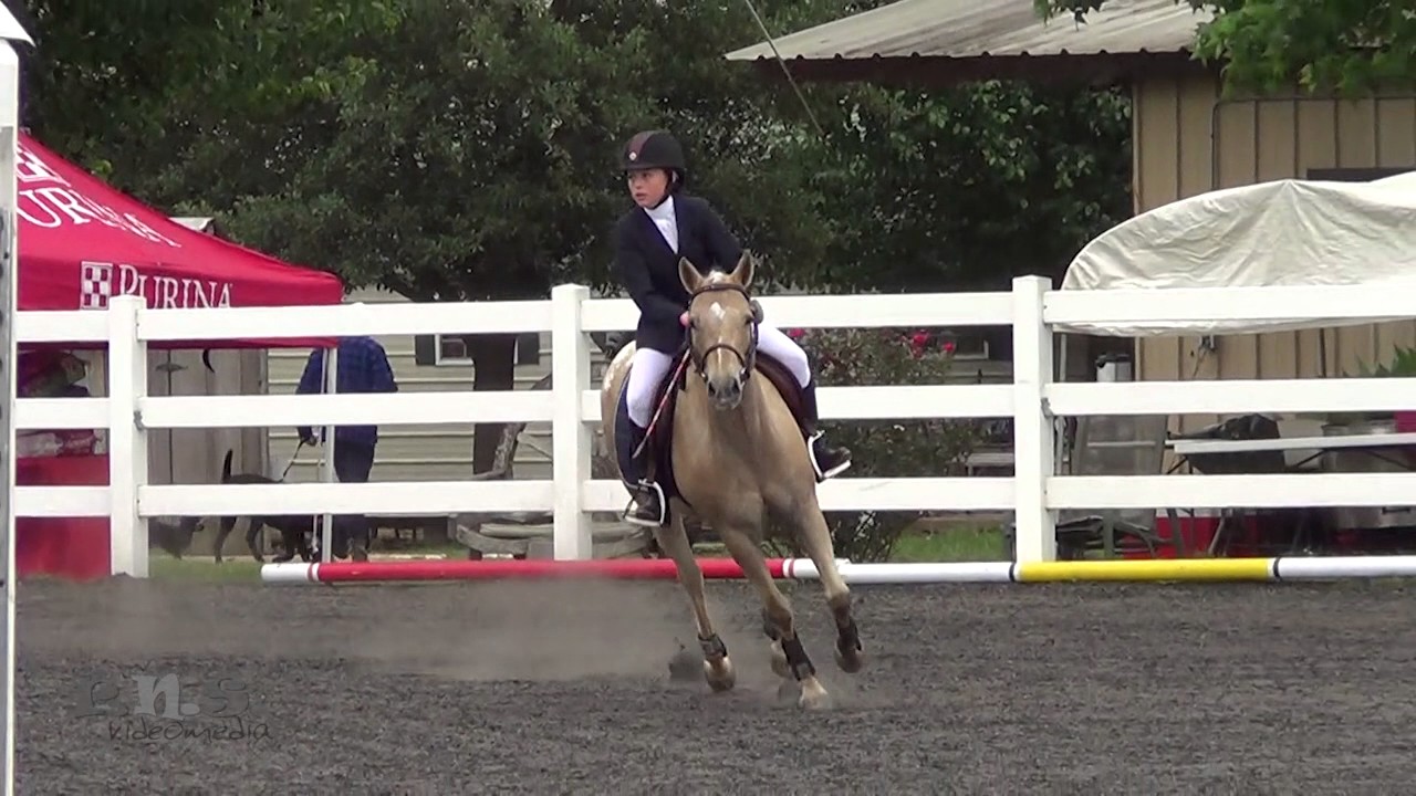 Avery Daigle & Sprinkle of Pixie Dust Holly Hill Horse Trials April ...