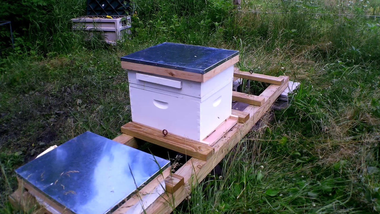 Walk away split part 2 June 23,2018 - YouTube