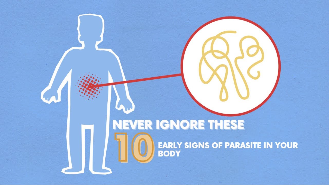 Never Ignore These 10 Early Signs Of Parasite In Your Body - YouTube
