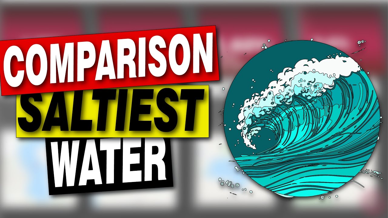 Comparison -The World's Saltiest Bodies of Water - YouTube