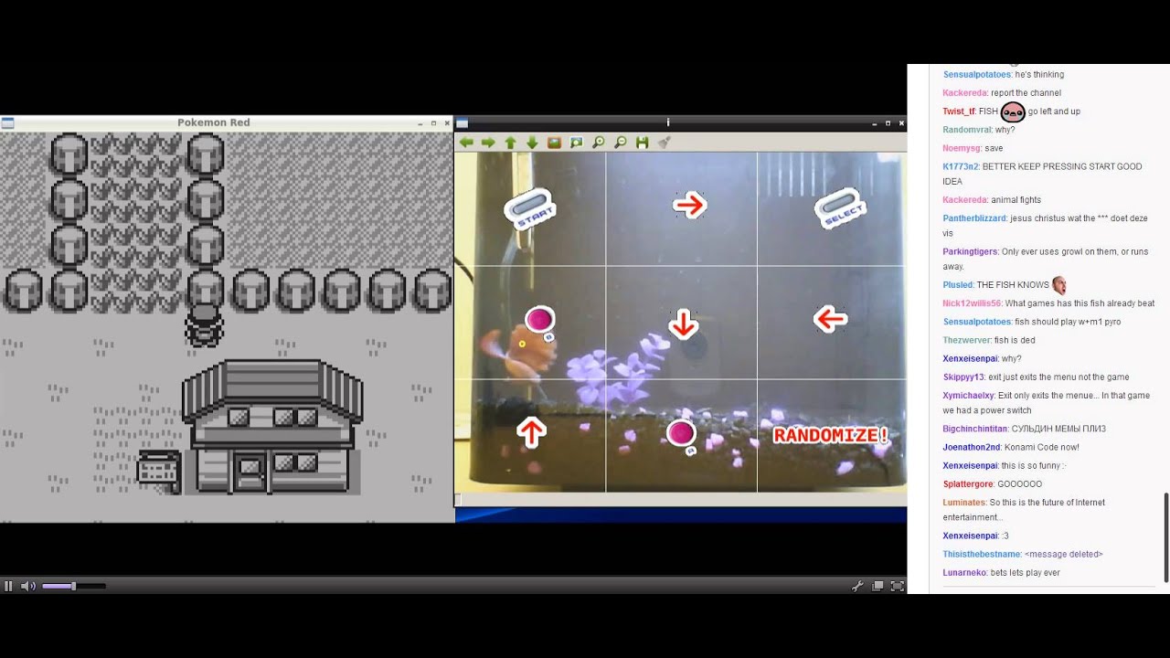 Fish Plays Pokemon: Grayson the Troll (Highlights #5) - YouTube