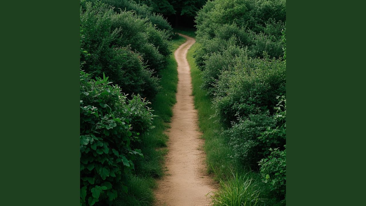 The Path We Tread - YouTube