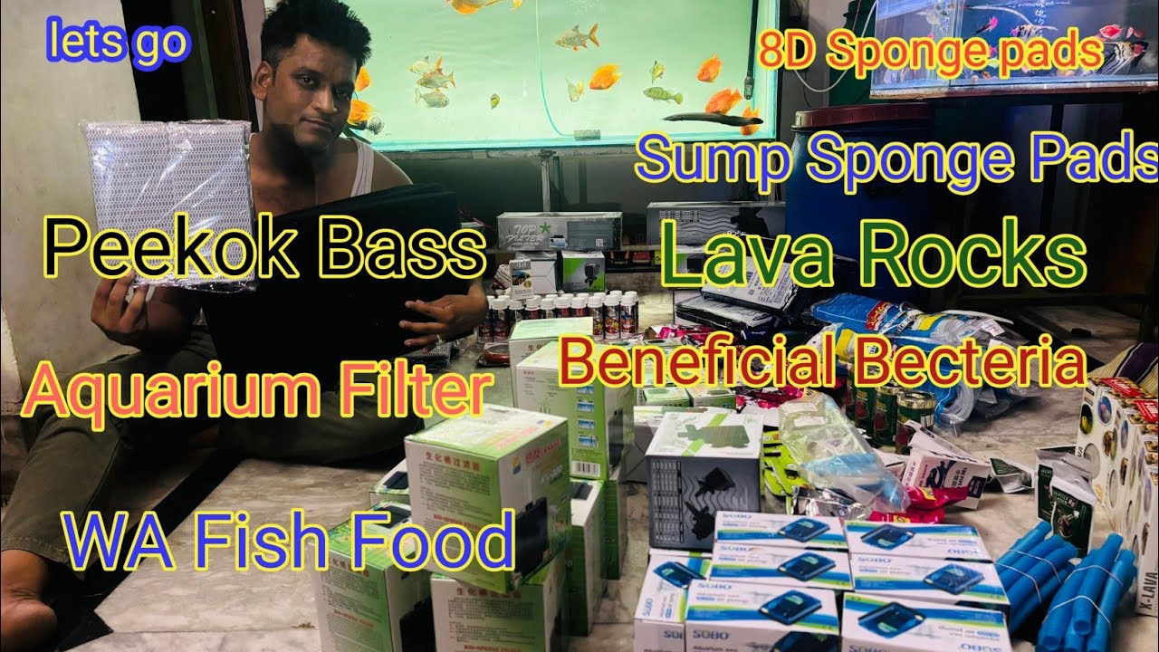 New Aquarium Accessories Restock //Peekok Bass // Benificial Becteria ...