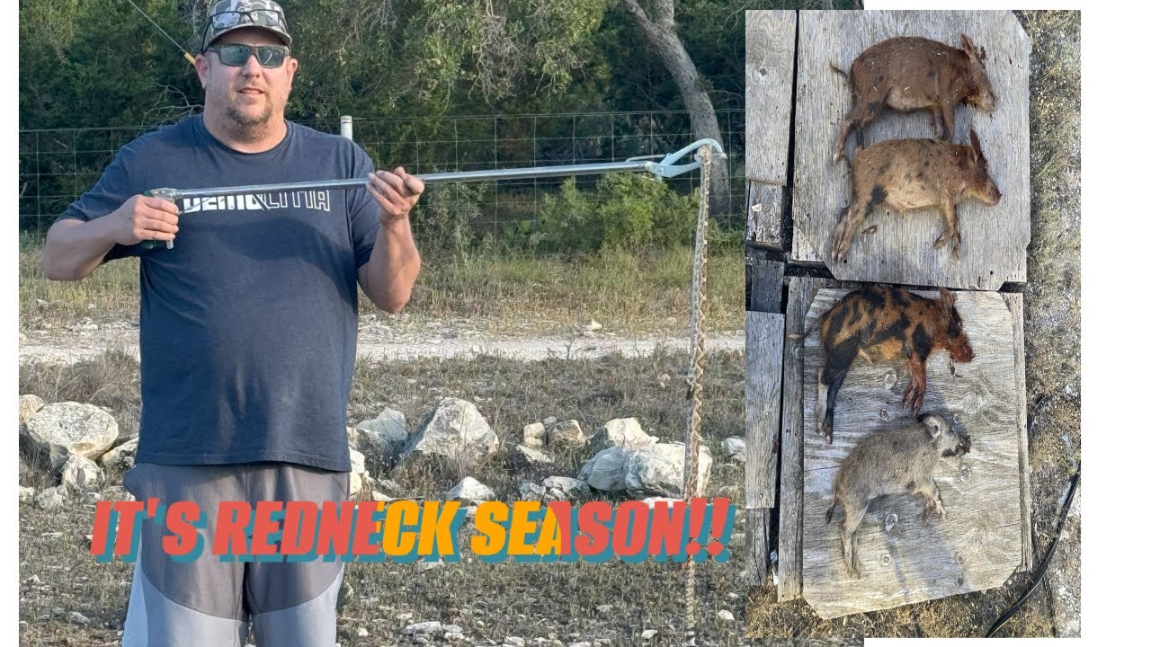 IT'S REDNECK SEASON - Hog Trapping Rattle Snake Shed Antler Wildlife ...