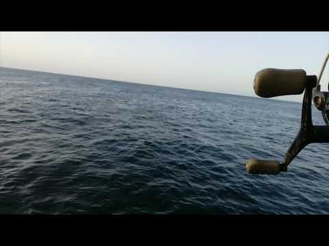 Un lock Silver Bream in Lakbi, Port Oman