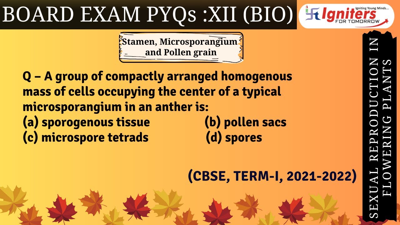 A group of compactly arranged homogenous mass of cells occupying the ...