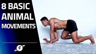 Full Body Primal Movement Circuit for Beginners | Doovi