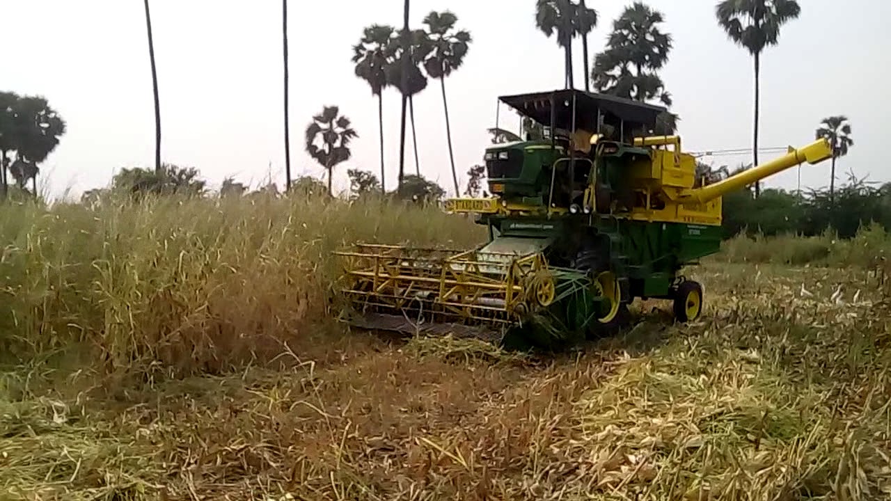 Makka solam.Ak.Durai thottam. - YouTube
