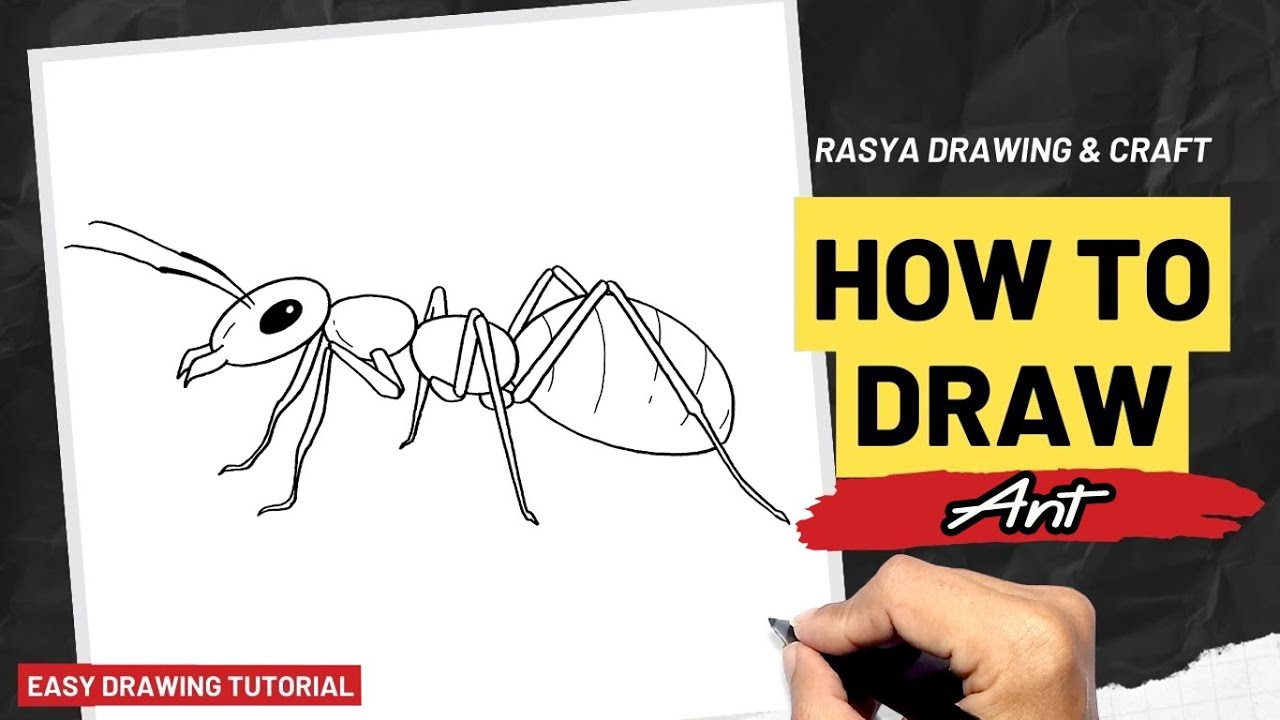 How to draw an Ant - YouTube