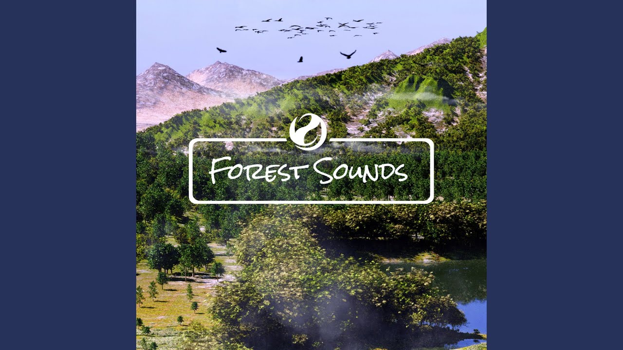 Nascent Nature (Rain) - YouTube