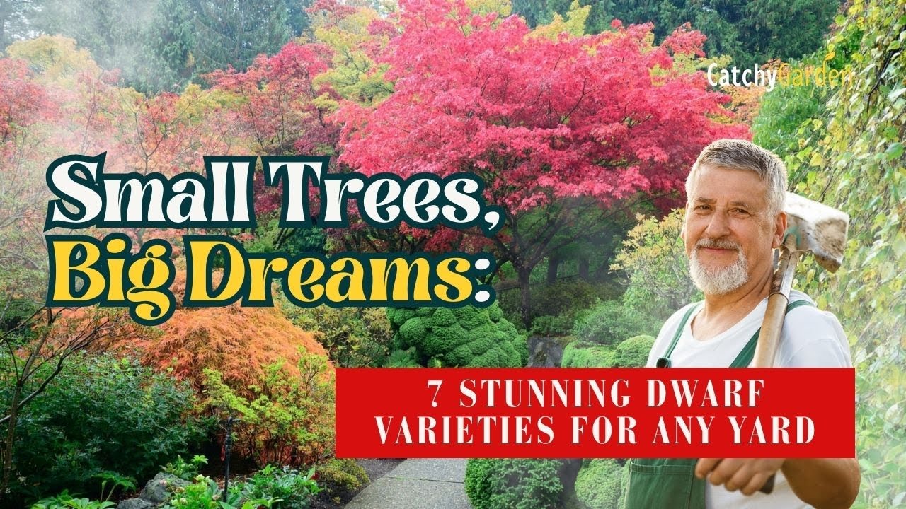 Small Trees & Big Dreams: 7 Stunning Dwarf Varieties for Any Yard 🏡🌸👍 ...