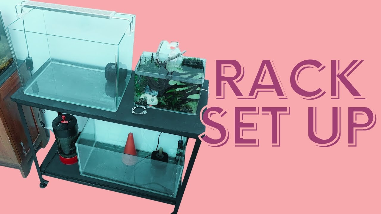 Rack Set Up in Aquarium Outhouse - YouTube