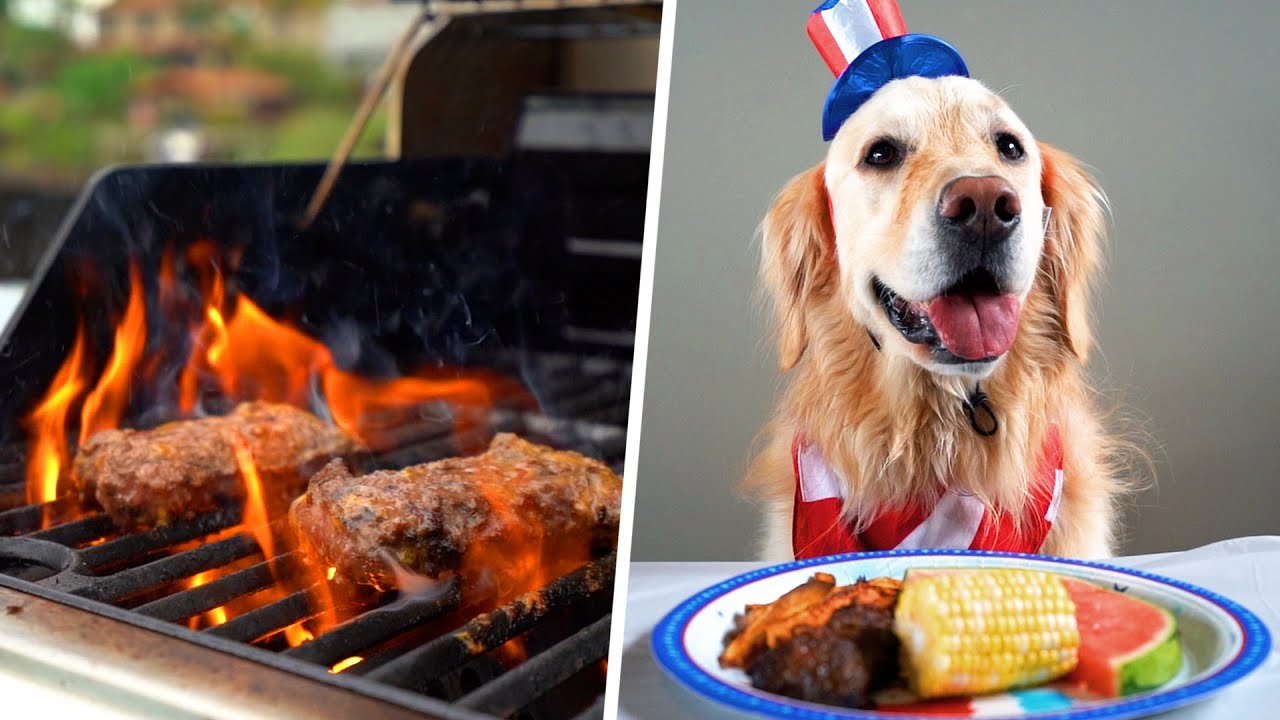 DOG FRIENDLY COOKOUT! (Fourth of July - Super Cooper Sunday #255) - YouTube