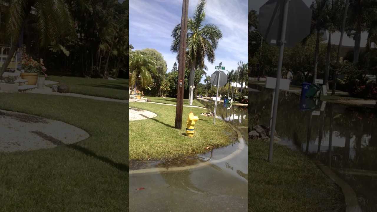 Longboat Key Sunny Day Flooding - YouTube