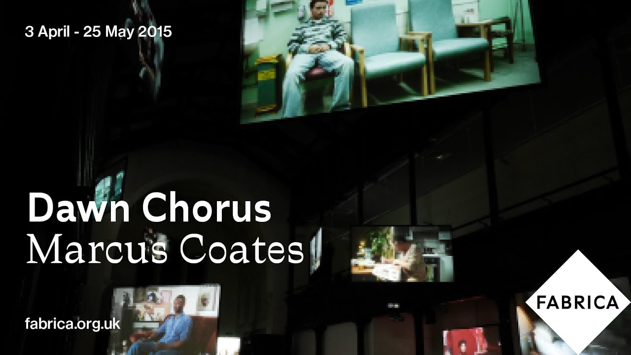 Marcus Coates - Alchetron, The Free Social Encyclopedia