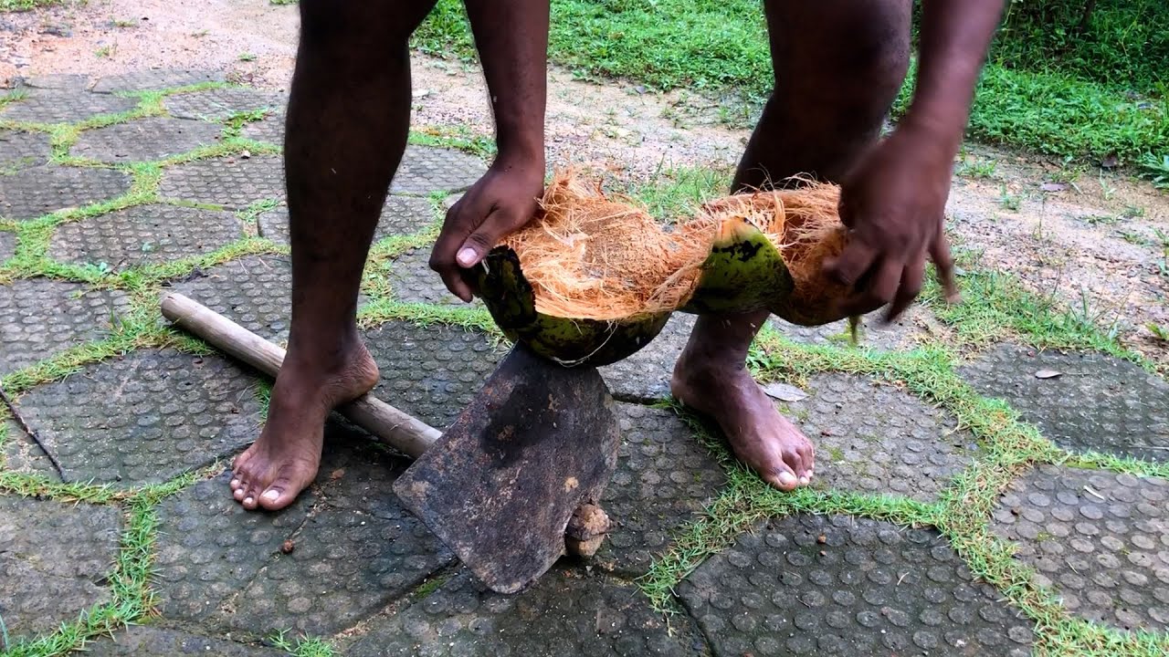 How To Remove Coconut Husk Removal YouTube How To Remove Coconut Husk Removal YouTube