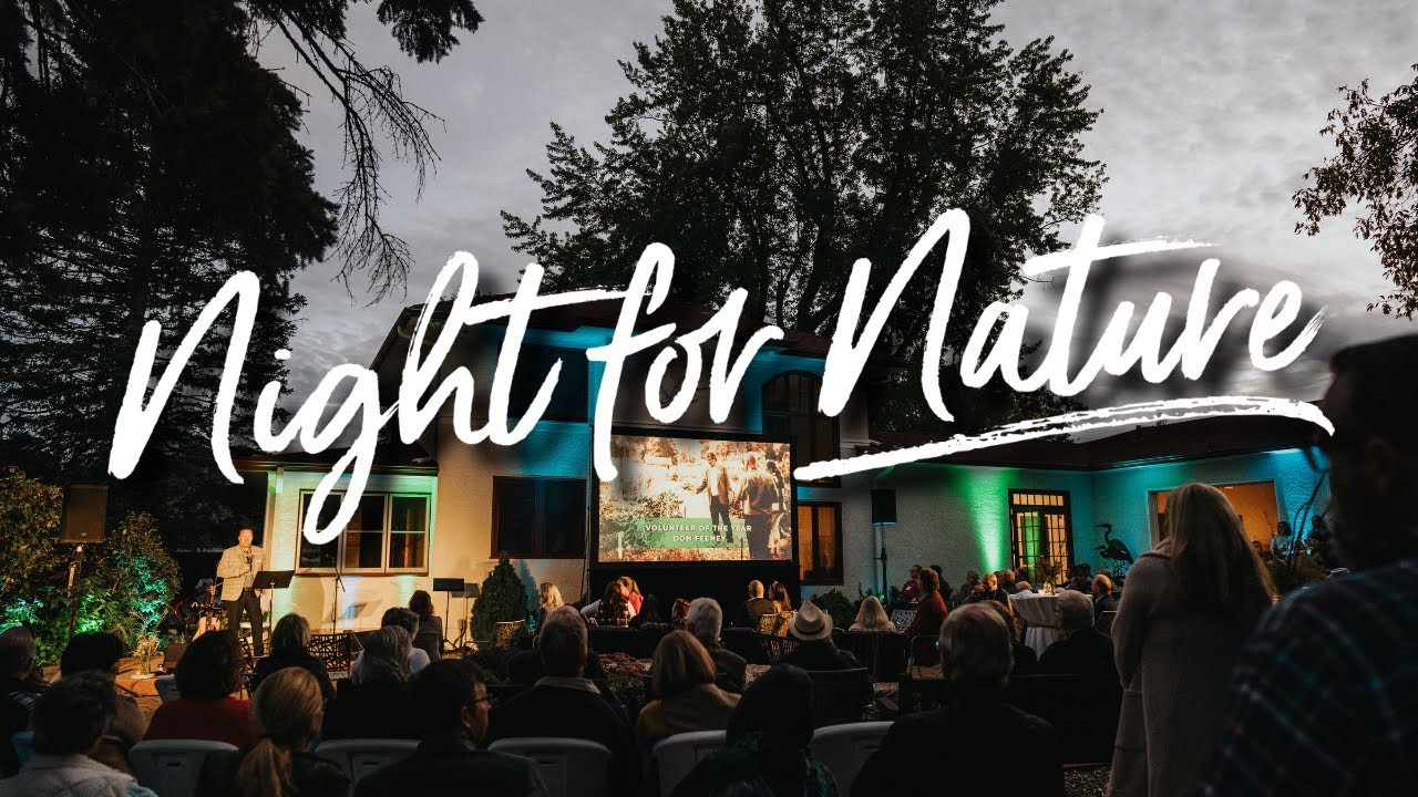 Night for Nature 2024 | Live Stream - YouTube