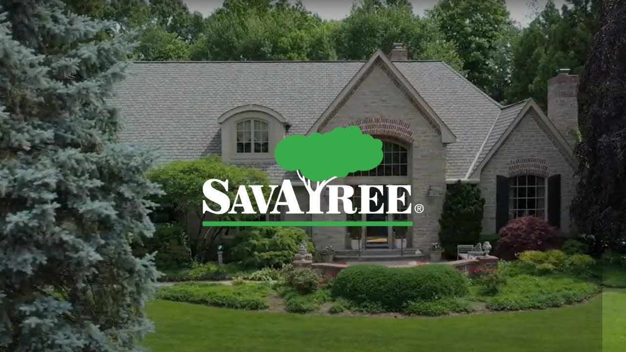 SavATree Testimonial 2024 - YouTube