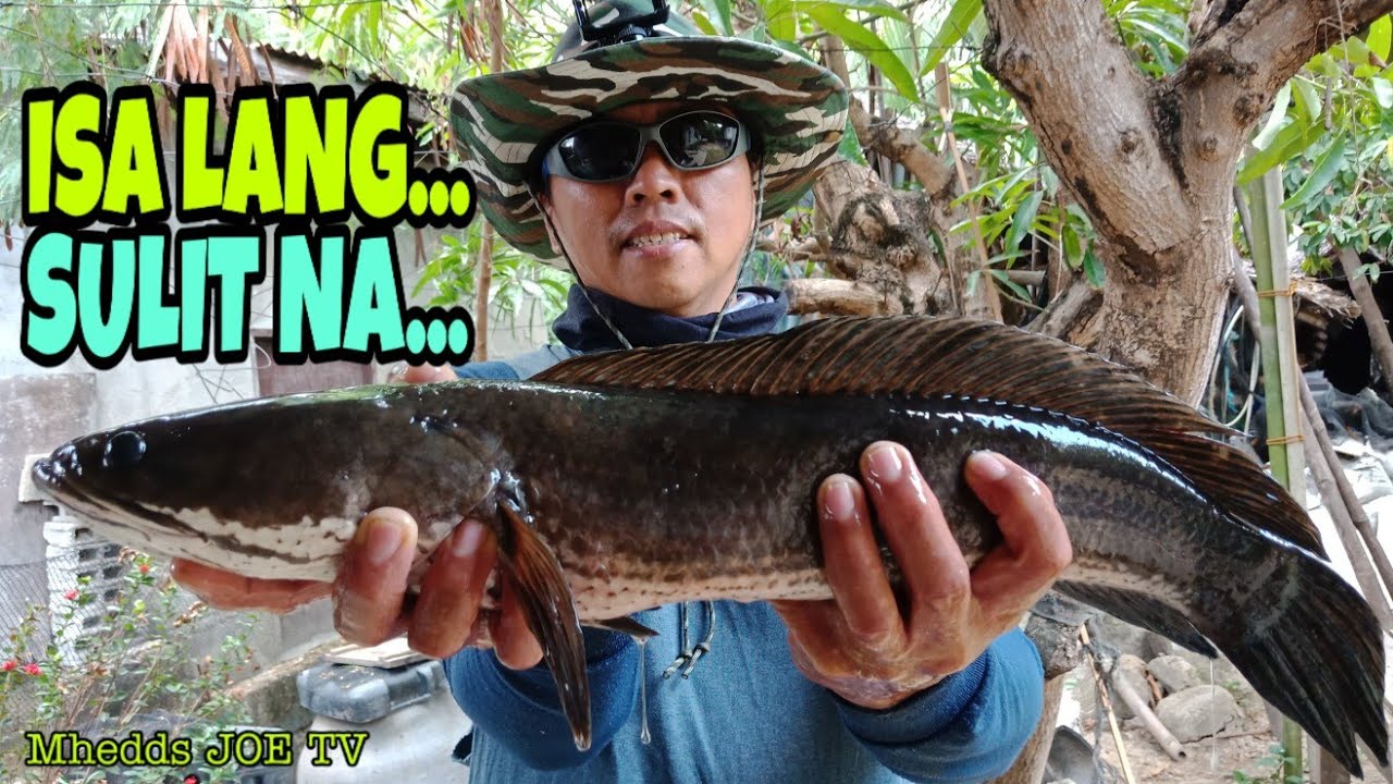 FISH HUNTING/ISA LANG SULIT NA/AIR GUN FISHING/TIKSAY FISHING/Mhedds ...