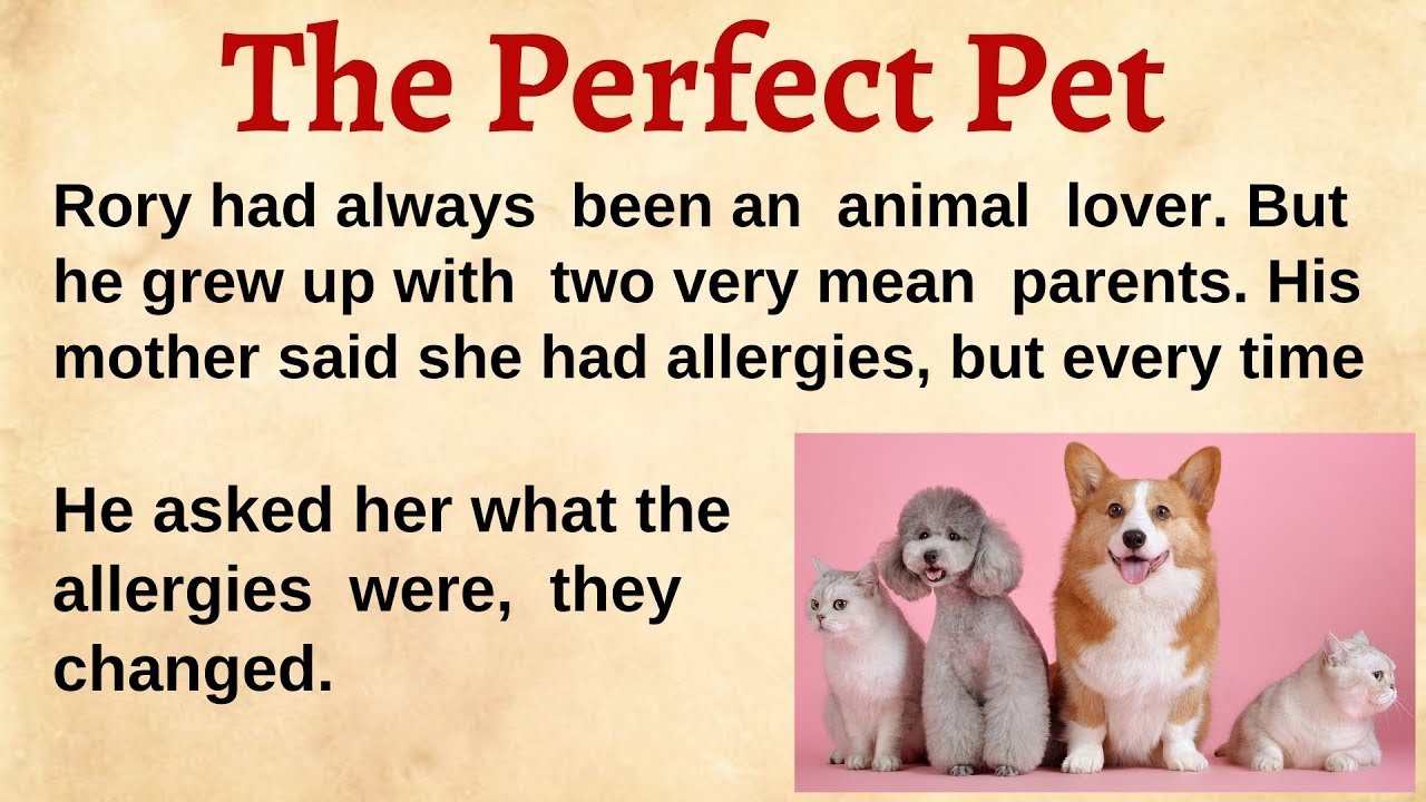 Learn English through Story Level 0 🚨 The Perfect Pet - English story ...