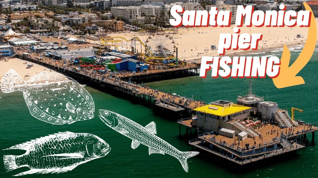 Fishng Santa Monica Pier (multi species) - YouTube