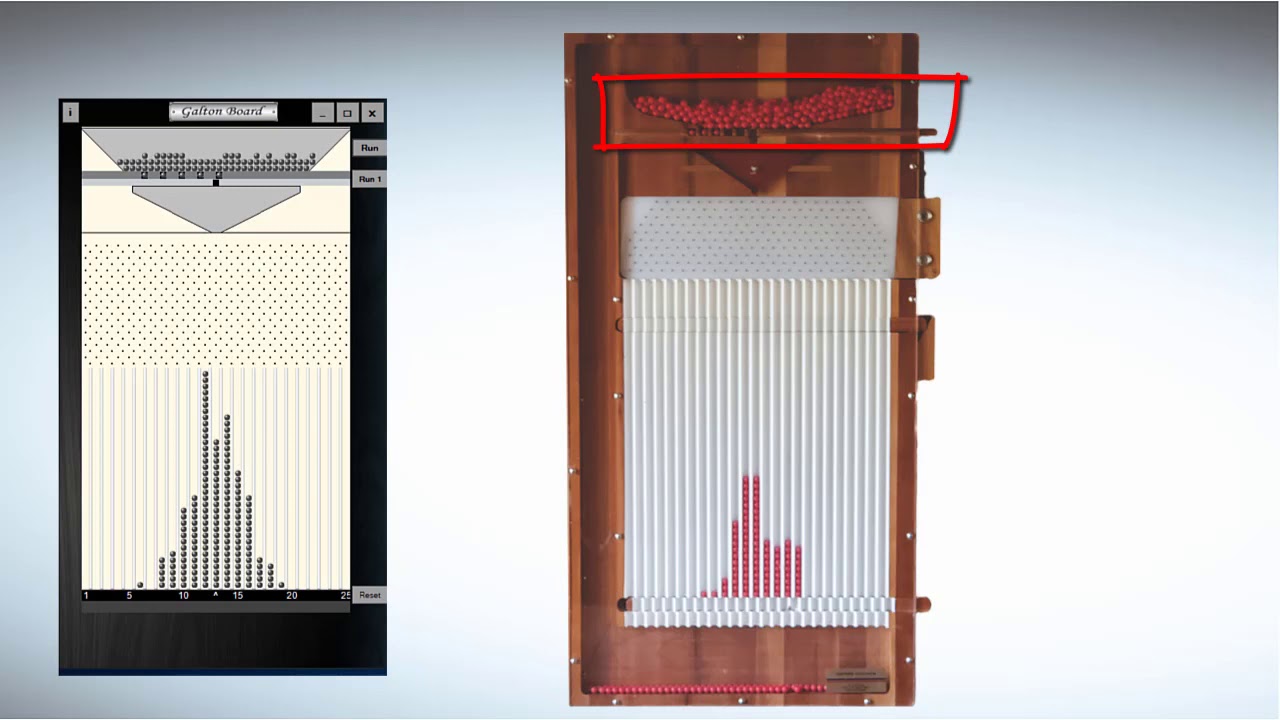 The Galton Board - YouTube