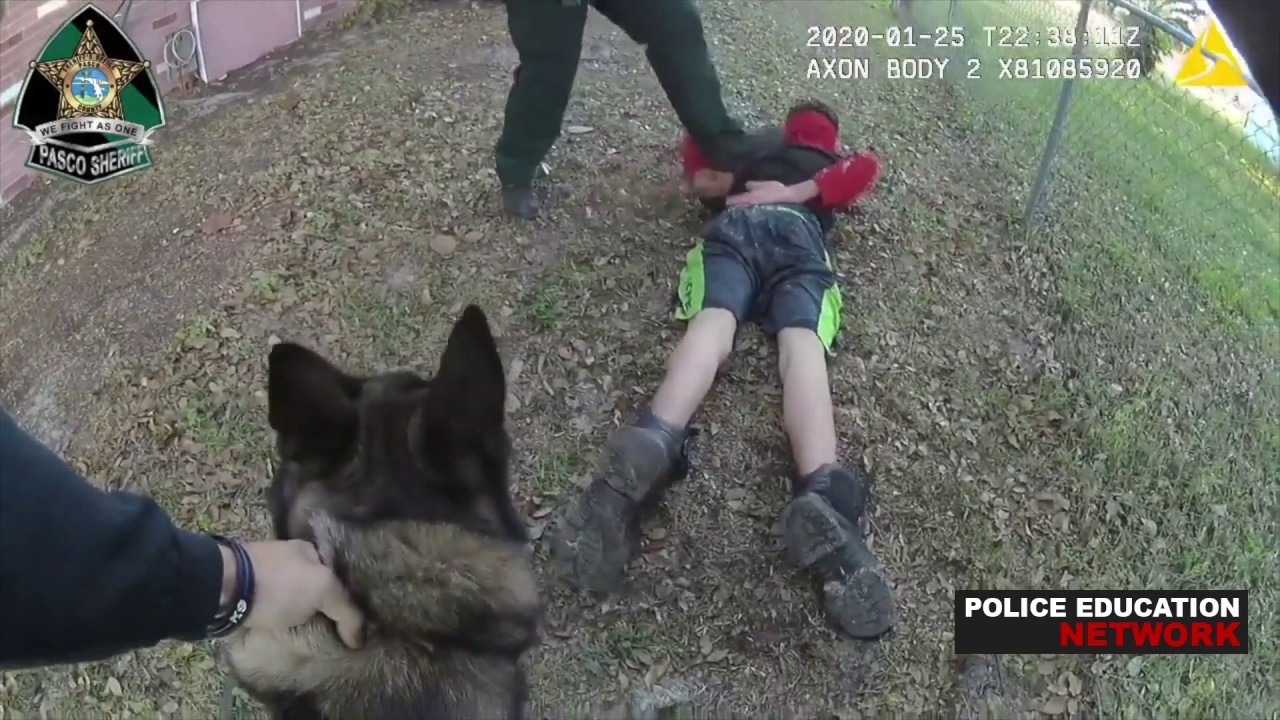 Police Bodycam - Pasco K9 Assists With Double Take Down - YouTube
