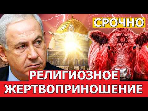 Сионистское оккупационное правительство и ритуальное жертвоприношение детей