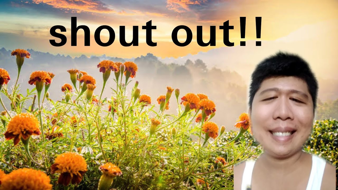 #SHOUT OUT TO MY FRIENDS - YouTube