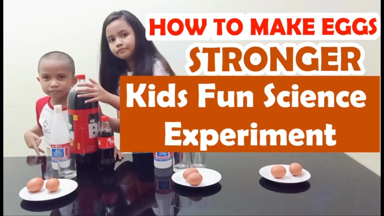 HOW TO MAKE EGGS STRONGER - KIDS SCIENCE EXPERIMENTS - MEMBUAT TELUR ...