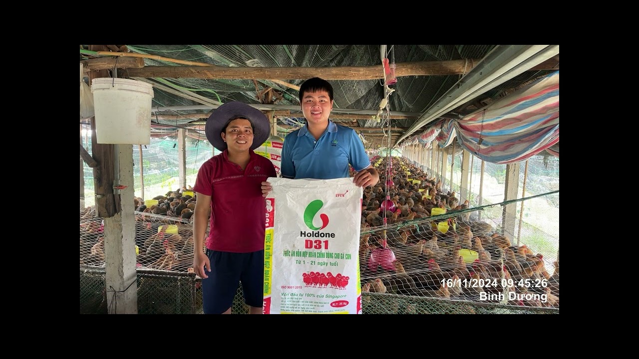 Haid Feed - Nhìn Lại Khoảnh Khắc Trong Năm Qua (2024) - YouTube