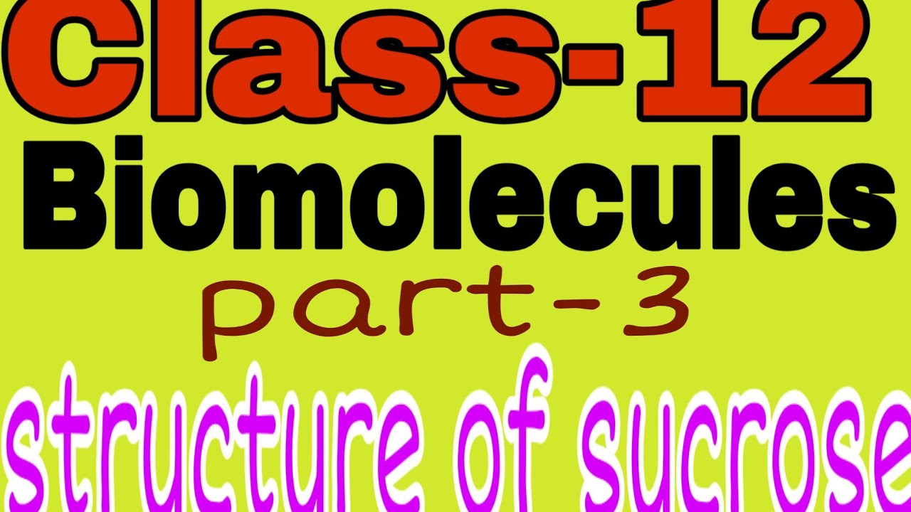 class-12 || biomolecules || structure of sucrose - YouTube