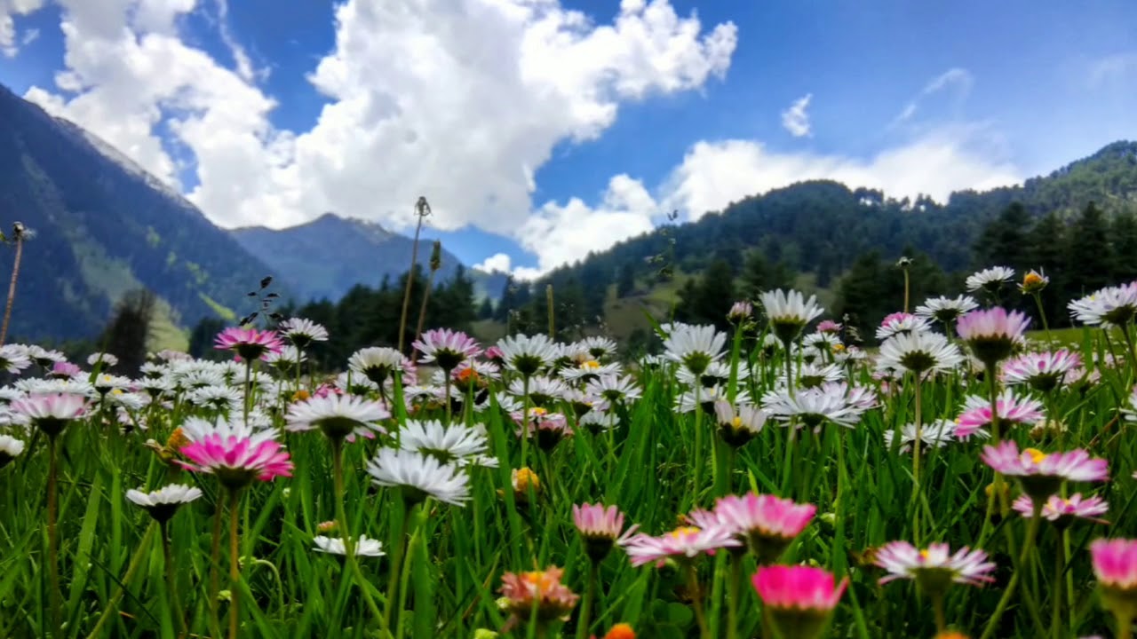 visuals of Aru valley Pahalgam - YouTube