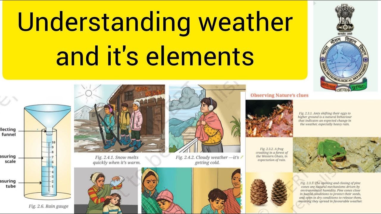 #ncert ( Class 7, chapter 2 Understanding the weather, part1 ) - YouTube
