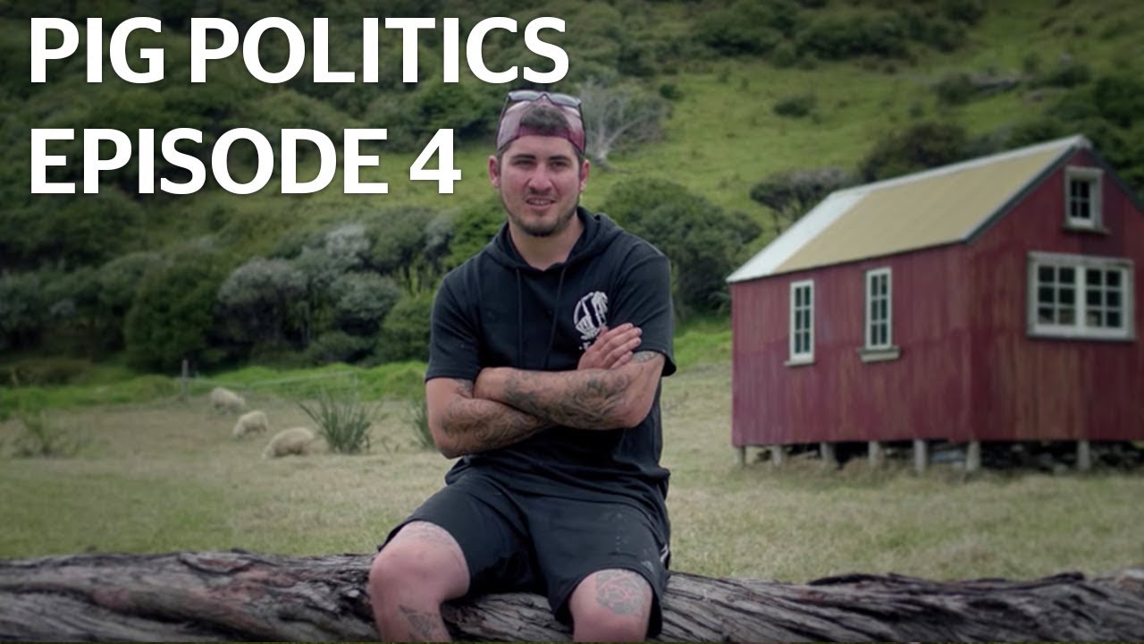 Pig Politics | Episode 4 - YouTube