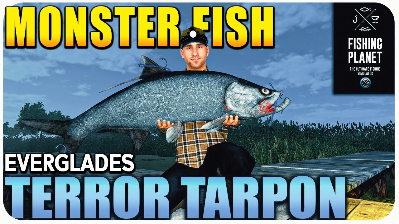 How to Catch the Terror Tarpon Monster fish on the Everglades in ...