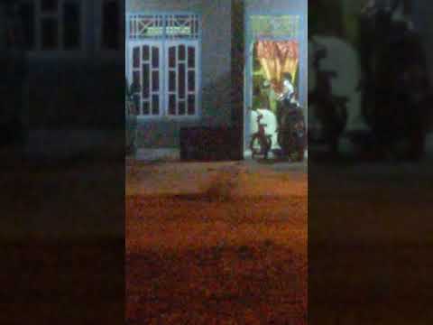 Terciduk lagi  joget dak karuan saat di tinggal orang tuanya....datang stresnya